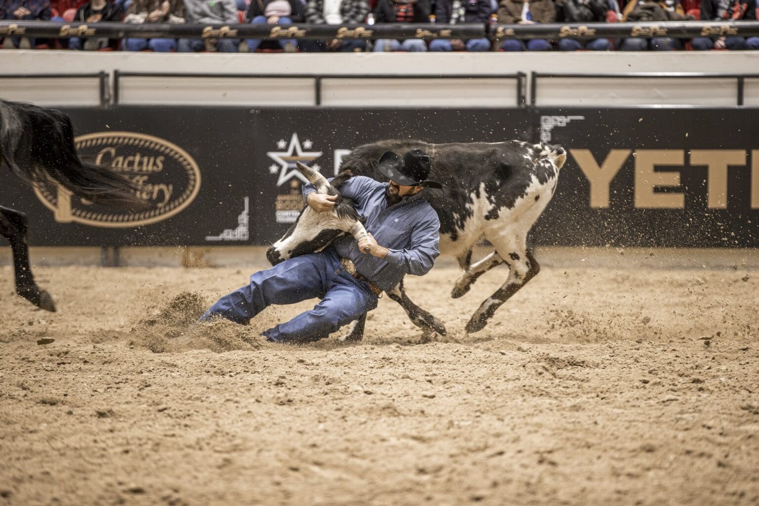 Ridgeview Pro Rodeo